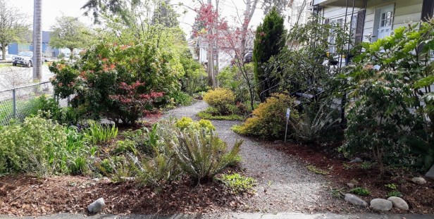 Humans of Road Services: Meet Katie Merrell – King County Local